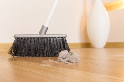 All About Brooms | What They Are and How to Use Effectively